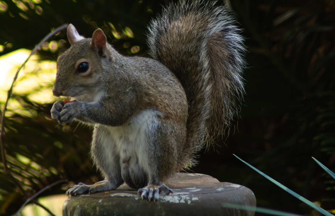 Taking Cues from Nature during the Fall Season | News & Stories | Alice ...