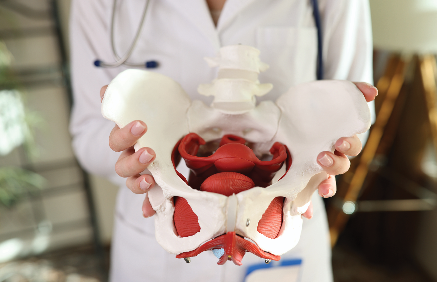 What Everyone Should Know About Pelvic Health | News & Stories | Alice ...